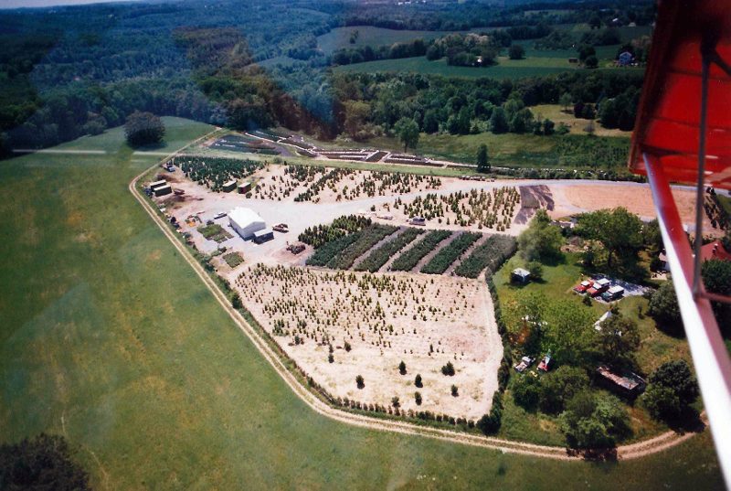 Local Evergreen Tree Farm Celebrates 30 Years! | Pryor's Nursery